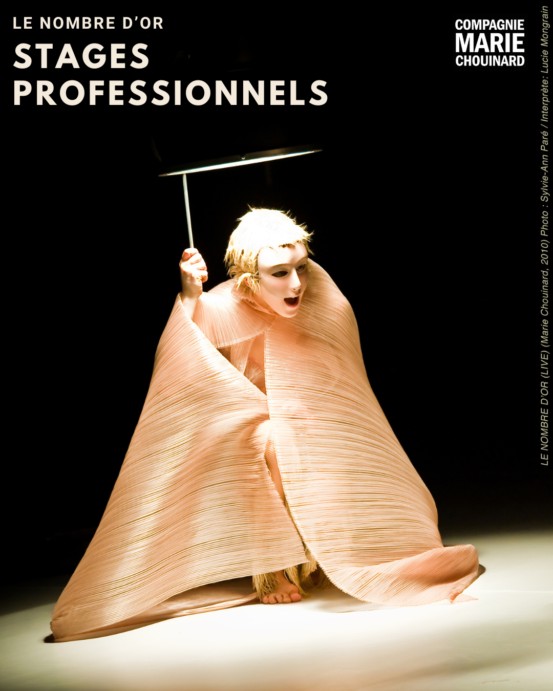 Babillard – Regroupement québécois de la danse